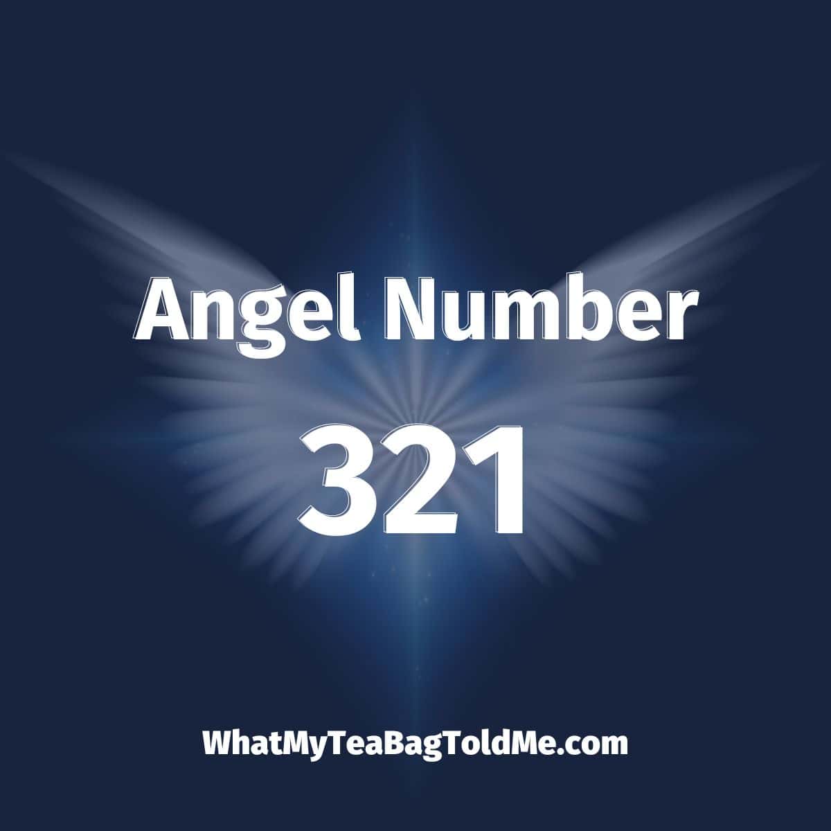321 Angel Number - What My Tea Bag Told Me