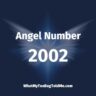 2002 Angel Number - What My Tea Bag Told Me