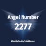 2277 Angel Number - What My Tea Bag Told Me